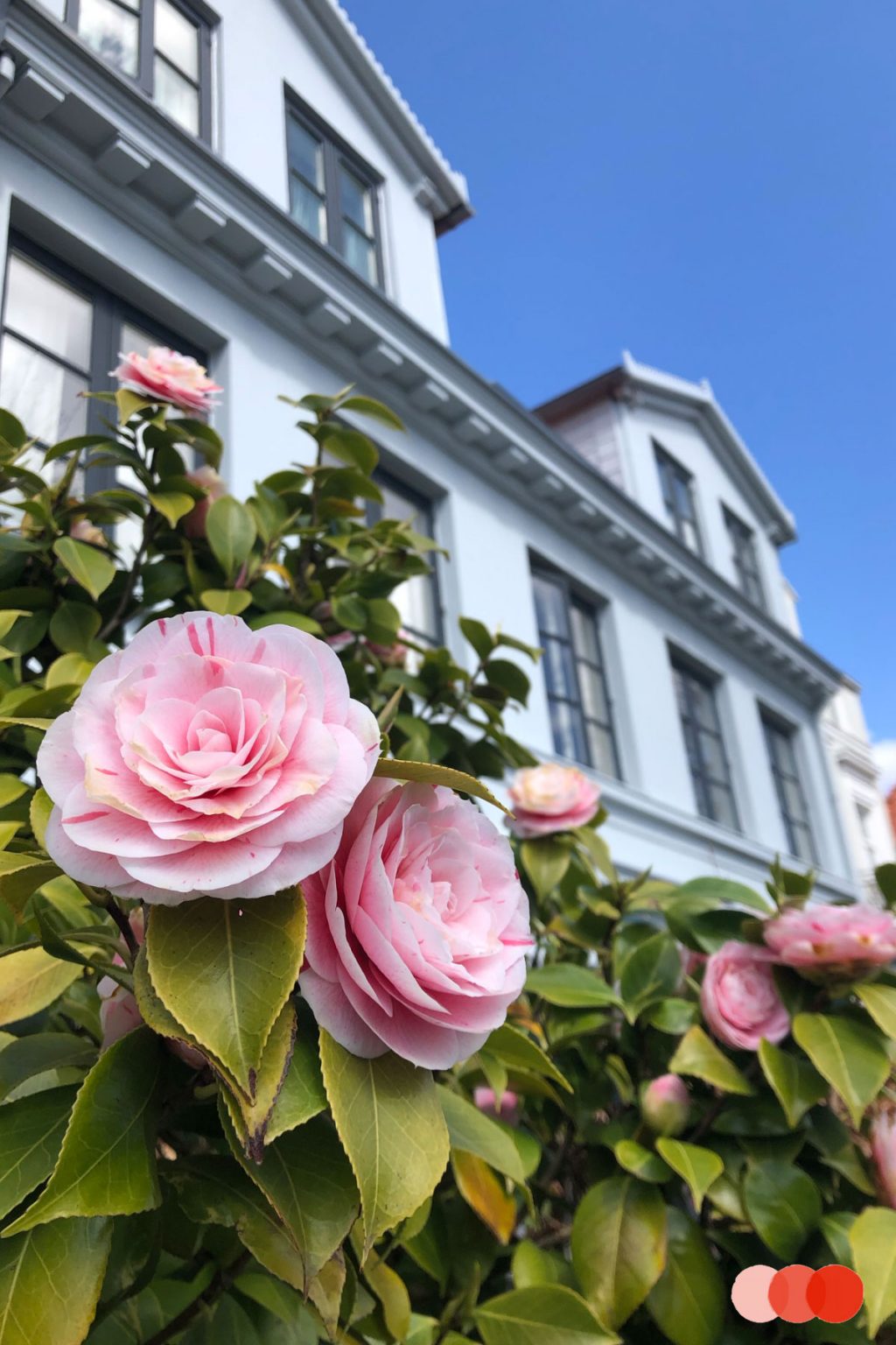 Hamburg Umgebung Mein Reisef hrer Hamburg Umgebung Mein Reisef hrer